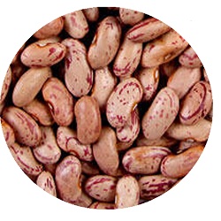 ᐅ Buy Big Rajma (White / Chitkabra) Online in Patna - Sabzi Adda